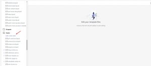 Add Custom JS and CSS in Shopify (Step by Step)